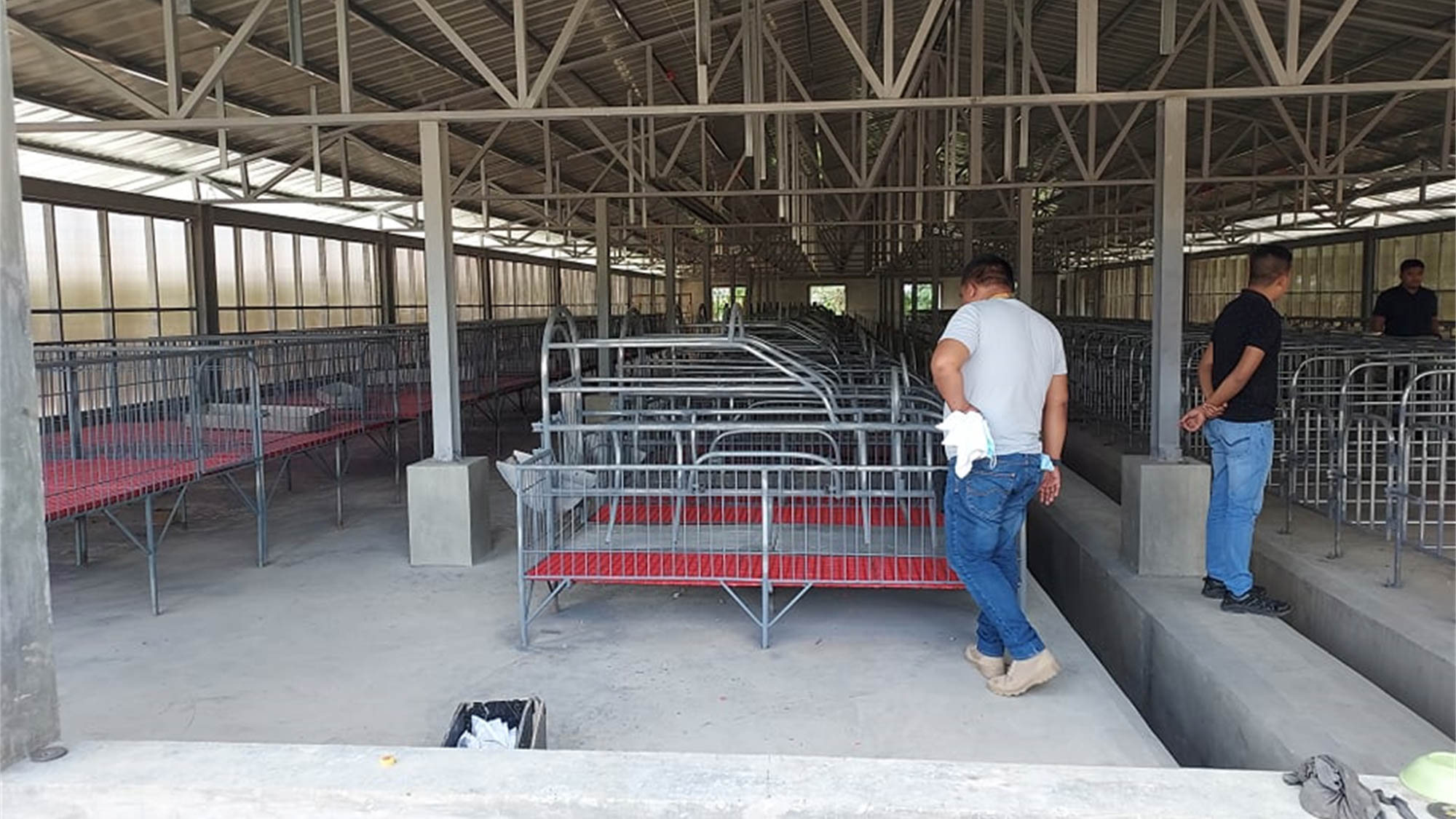 Campus Story | ISU Swine Multiplier, Technodemo Farm to boost ASF ...