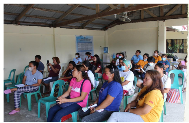 Extension Feature | Pangkabuhayan ng mga Ilaw ng Tahanan: Tulong sa ...